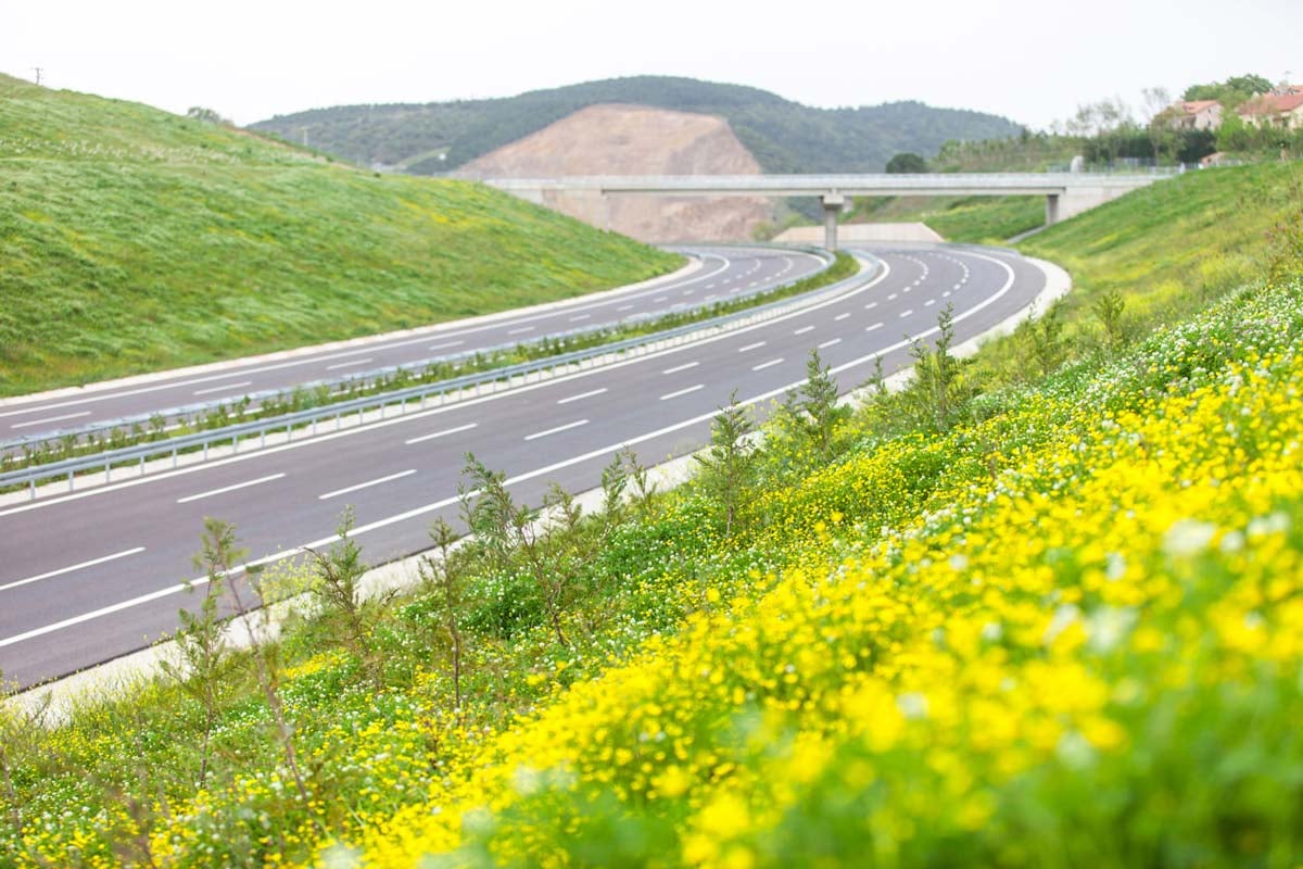 Road Landscaping