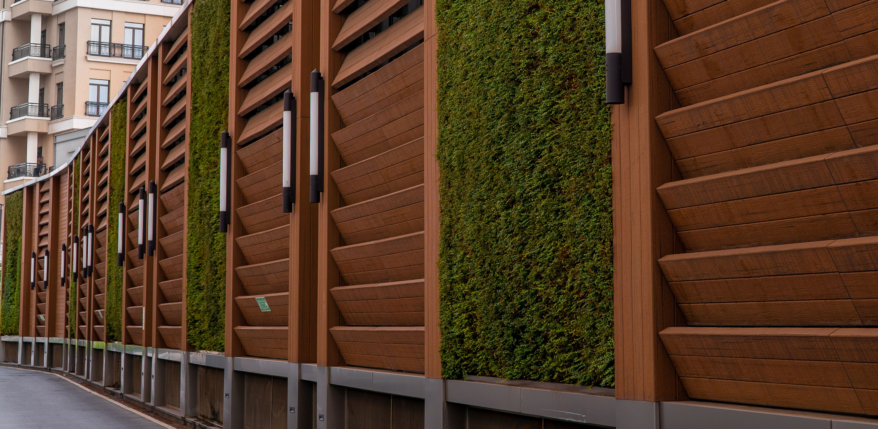 Why Living Green Walls Are a Must-Have for Your Business